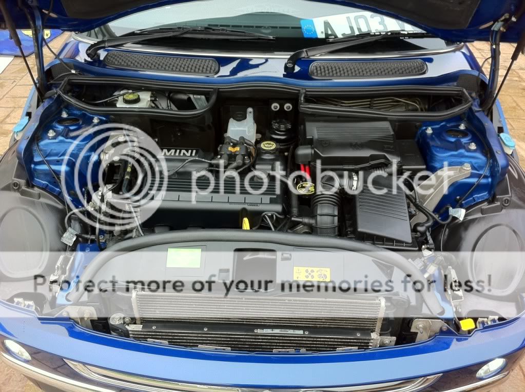 MINI Cooper | Detailing World Forum